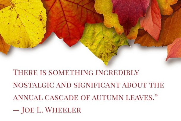 9 Welcome, Autumn: Quotes About My Favorite Season | Pretty Opinionated