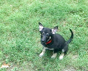 Remembering Tasha: A Life Lived Well | Pretty Opinionated