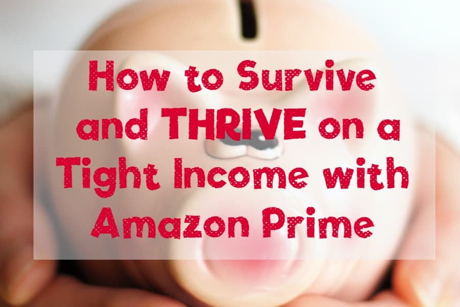 How To Survive And Thrive On A Tight Income With Amazon Prime | Pretty ...