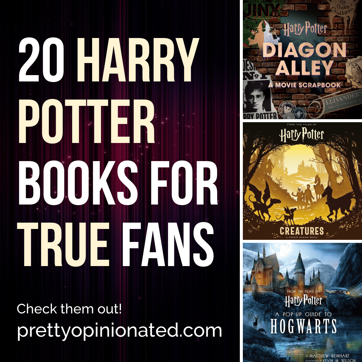 20 Harry Potter Books Every True Fan Should Own