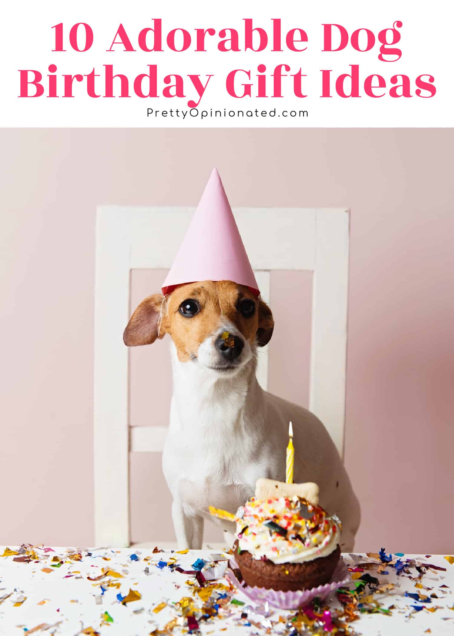 10 Cute Dog Birthday Gift Ideas That Fido Will LOVE 10 Cute Dog Birthday Gift Ideas That Fido Will LOVE